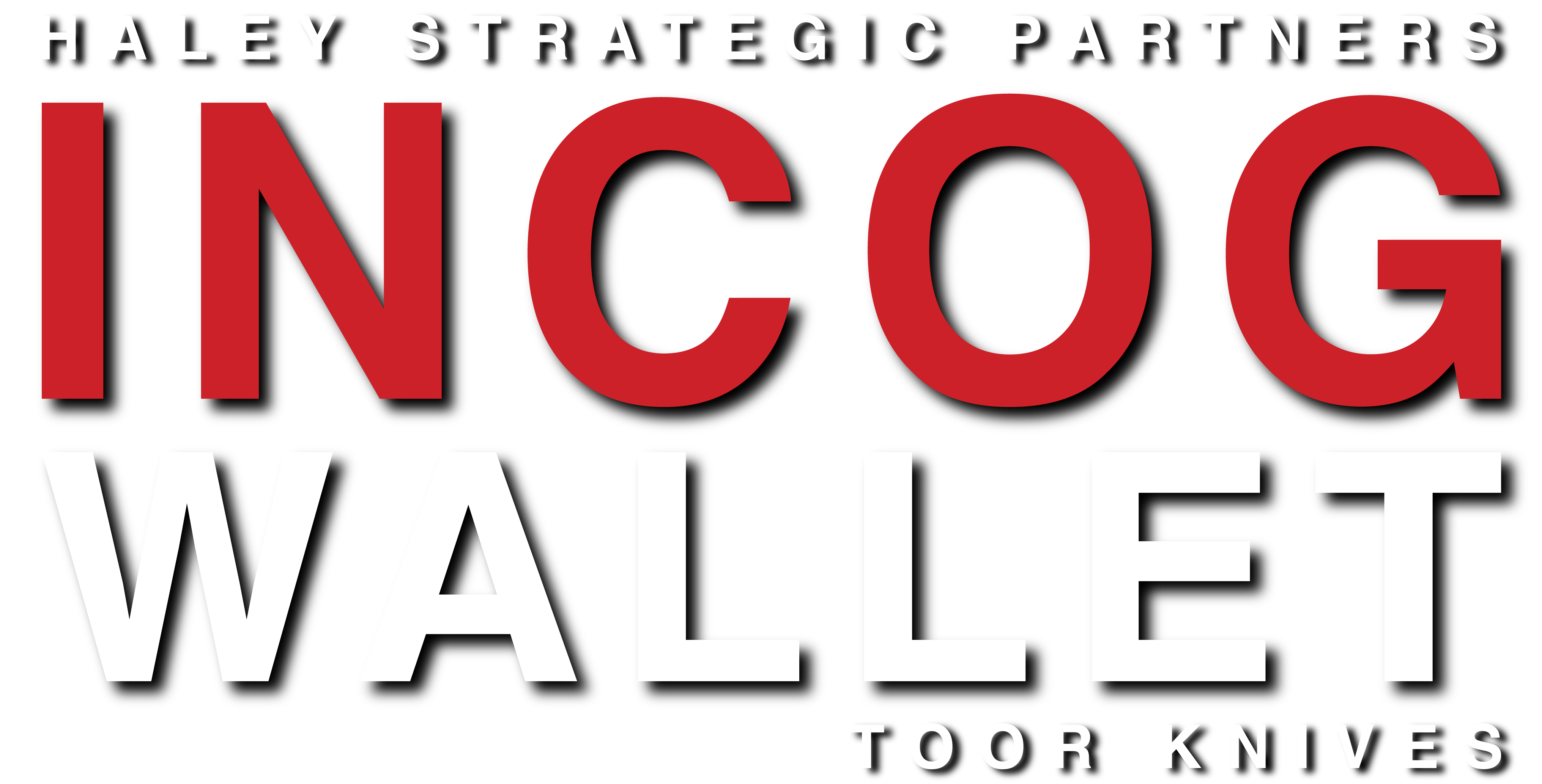 Haley Strategic Partners